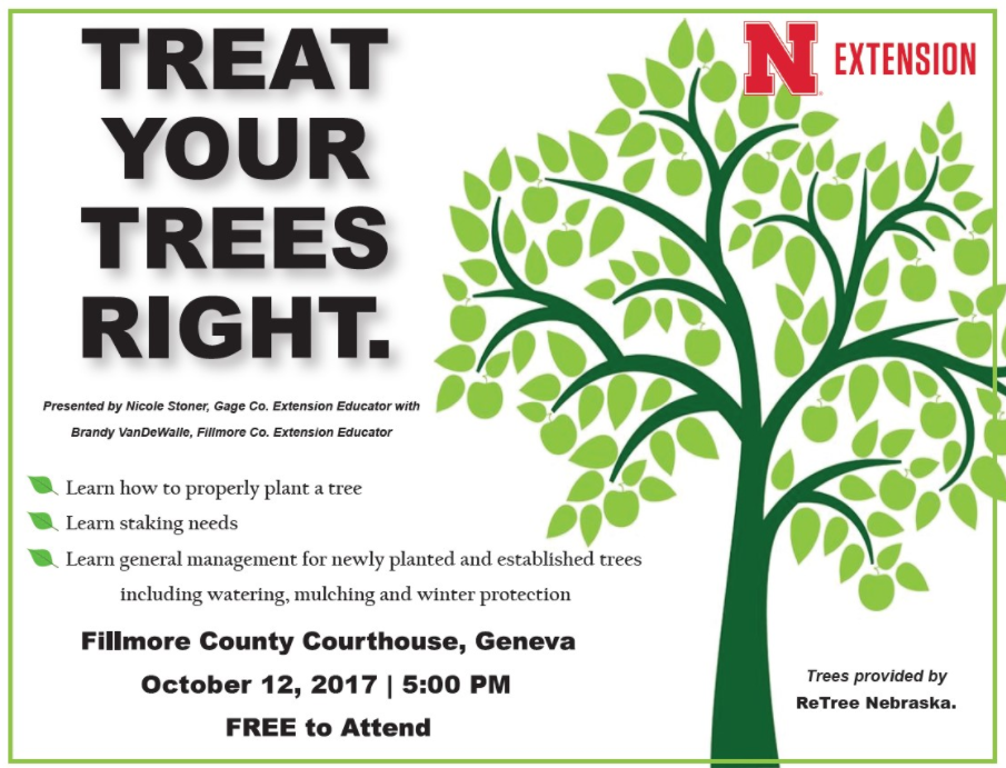 Tree Planting & Care Workshop – Views from VanDeWalle